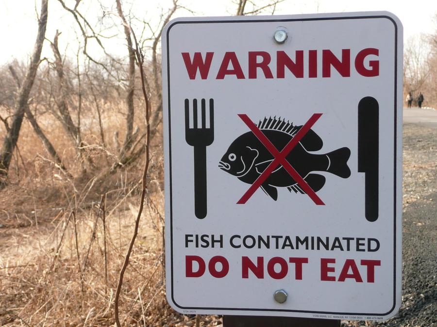 SSFP - Public Health Officials Issue PFAS Updates for Dane County Fisheries